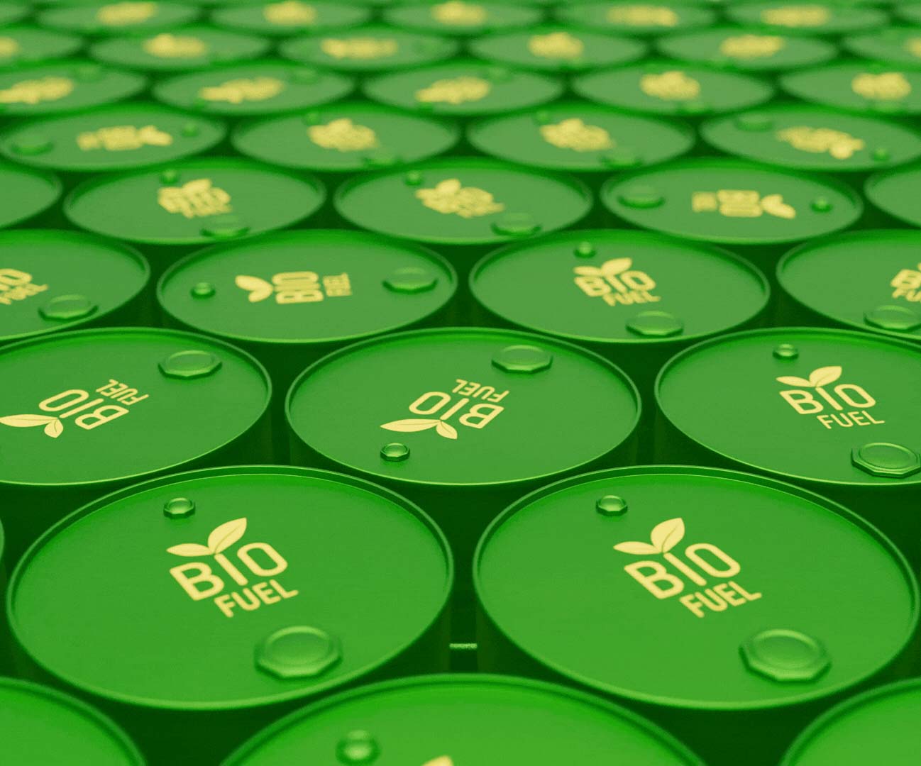 Bioenergy & Biofuels | Sustainable Biomass Waste-to-Energy | Lam Tak